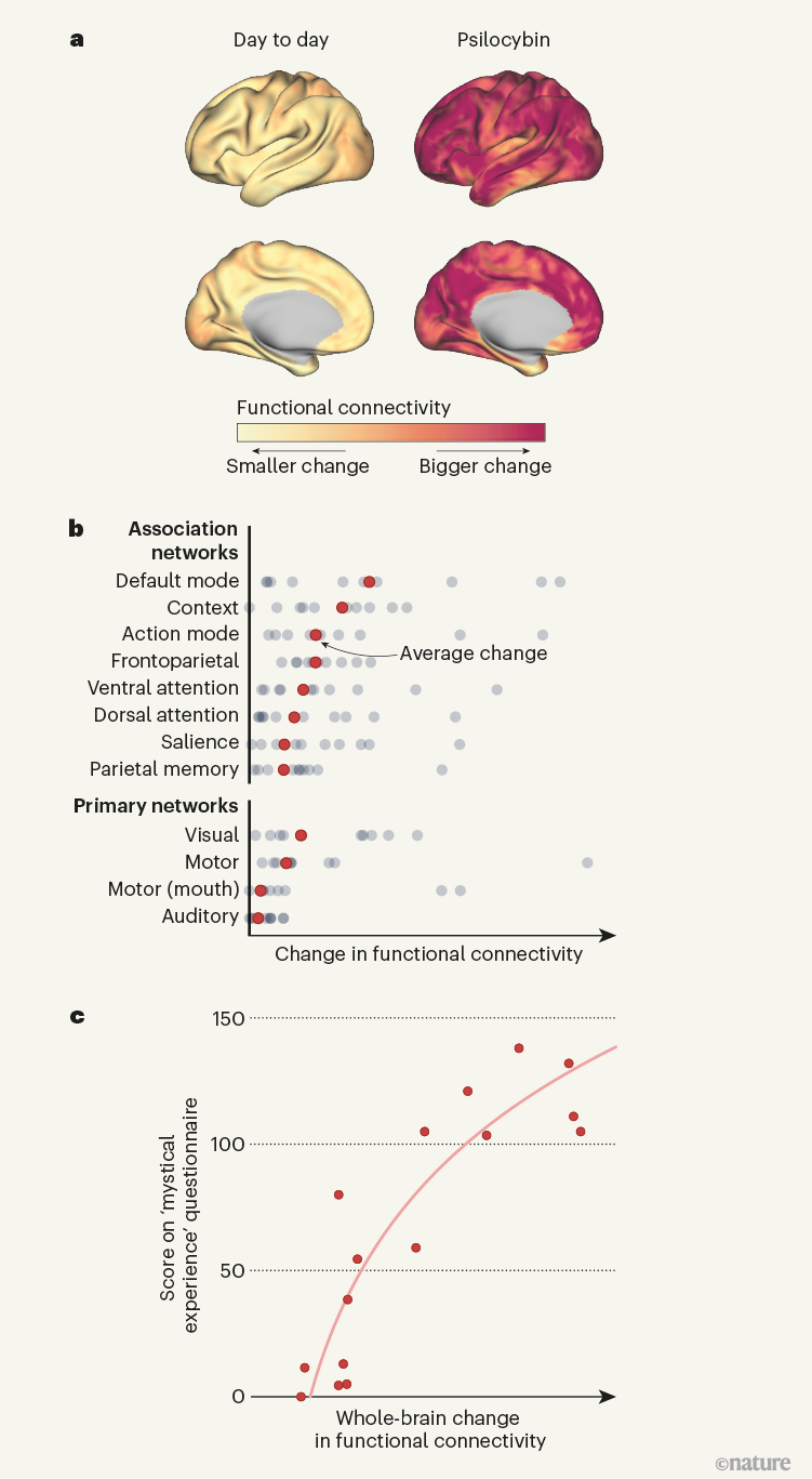 Schizodelic Xenophonia Or Xenophonic Schizodelia By