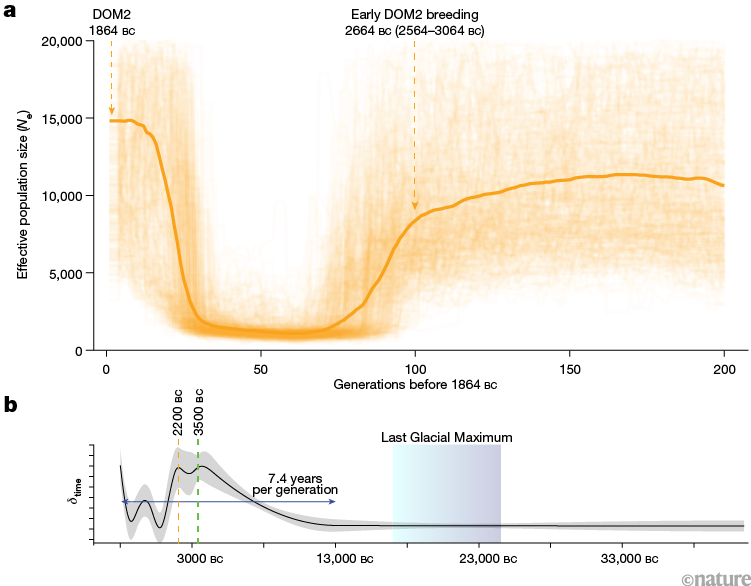 Ancient equine genomes reveal dawn of horse domestication