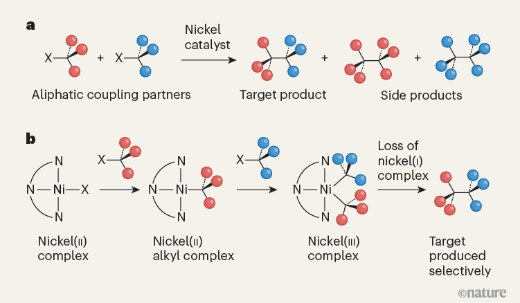 Reaction for coupling 3D molecular fragments expands the chemist’s toolkit
