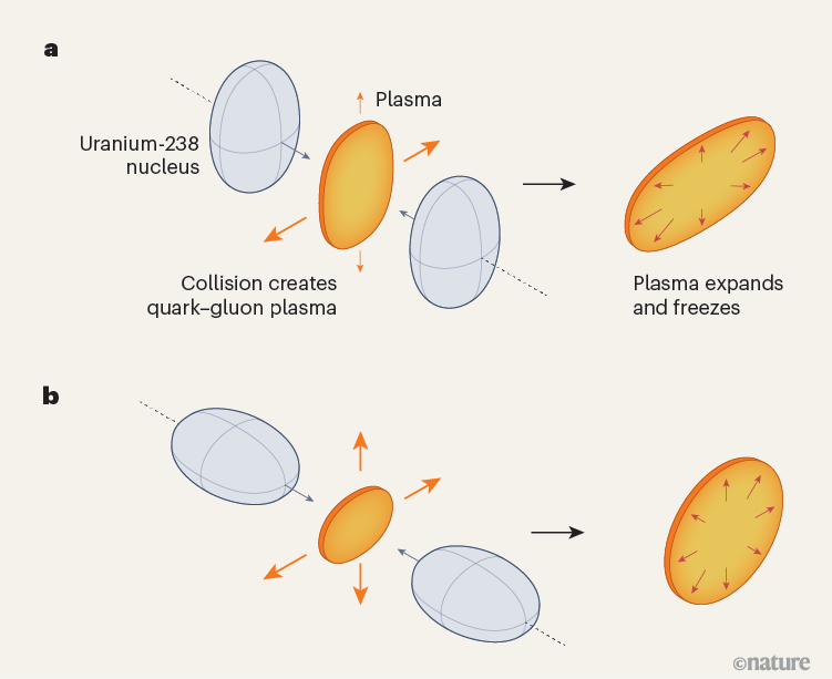 Rare snapshots of a kiwi-shaped atomic nucleus