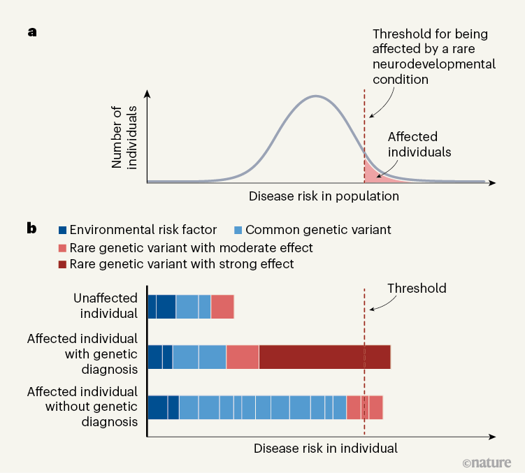 Common genetic variants contribute more to rare diseases than ...