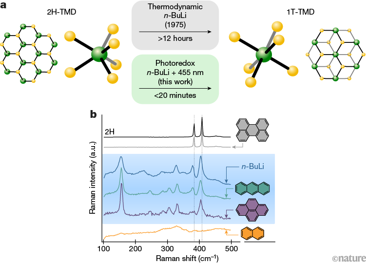 Mechanistic understanding and efficient engineering of crystal phases ...