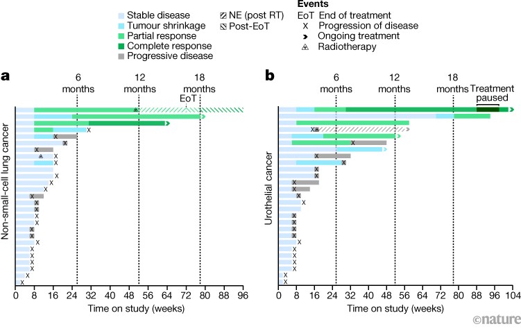 Reversing resistance to cancer immune therapy with antibodies that ...