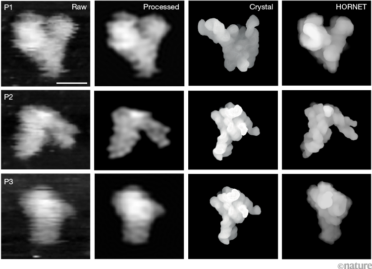 Machine learning helps to determine the diverse conformations of RNA ...