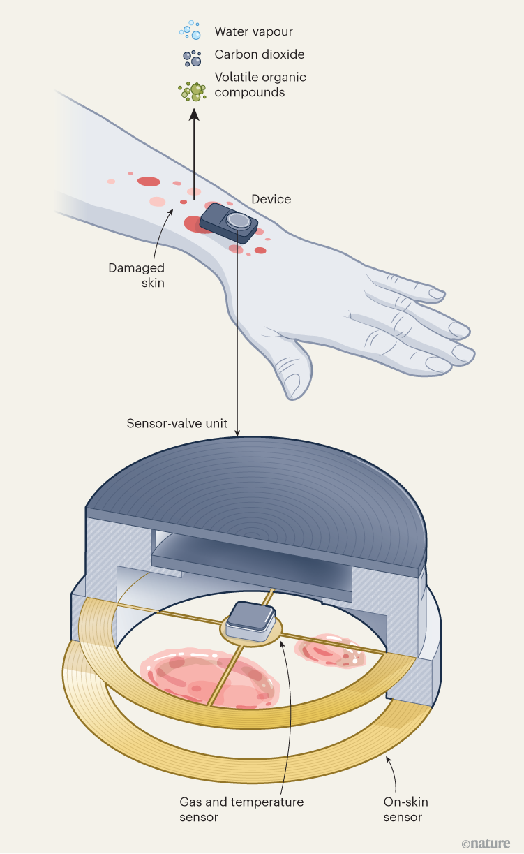 Skin wound healing measured remotely through molecular flux