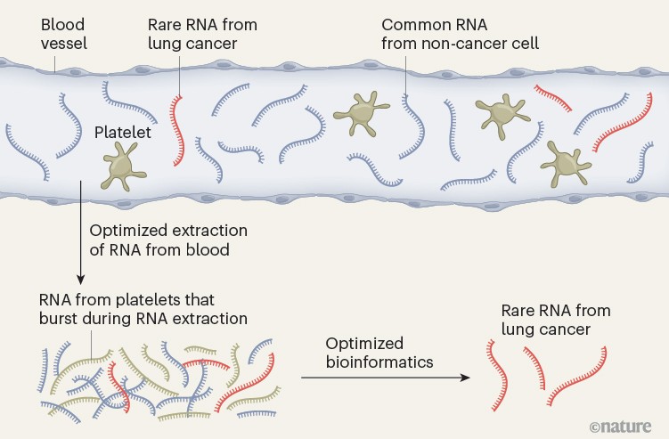 Highly sensitive method captures rare RNAs in blood to search for disease