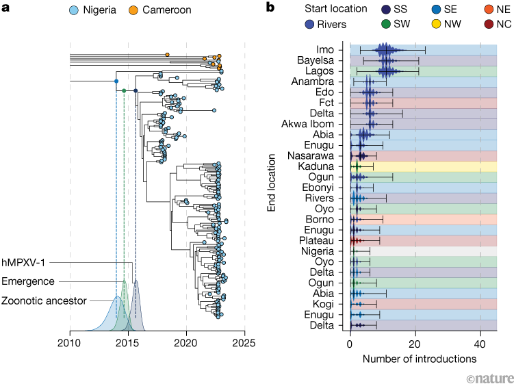 Viral genomes track the transmission of mpox in humans before 2017 outbreak