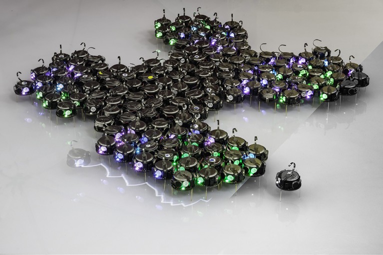 Robots demonstrate principles of collective intelligence