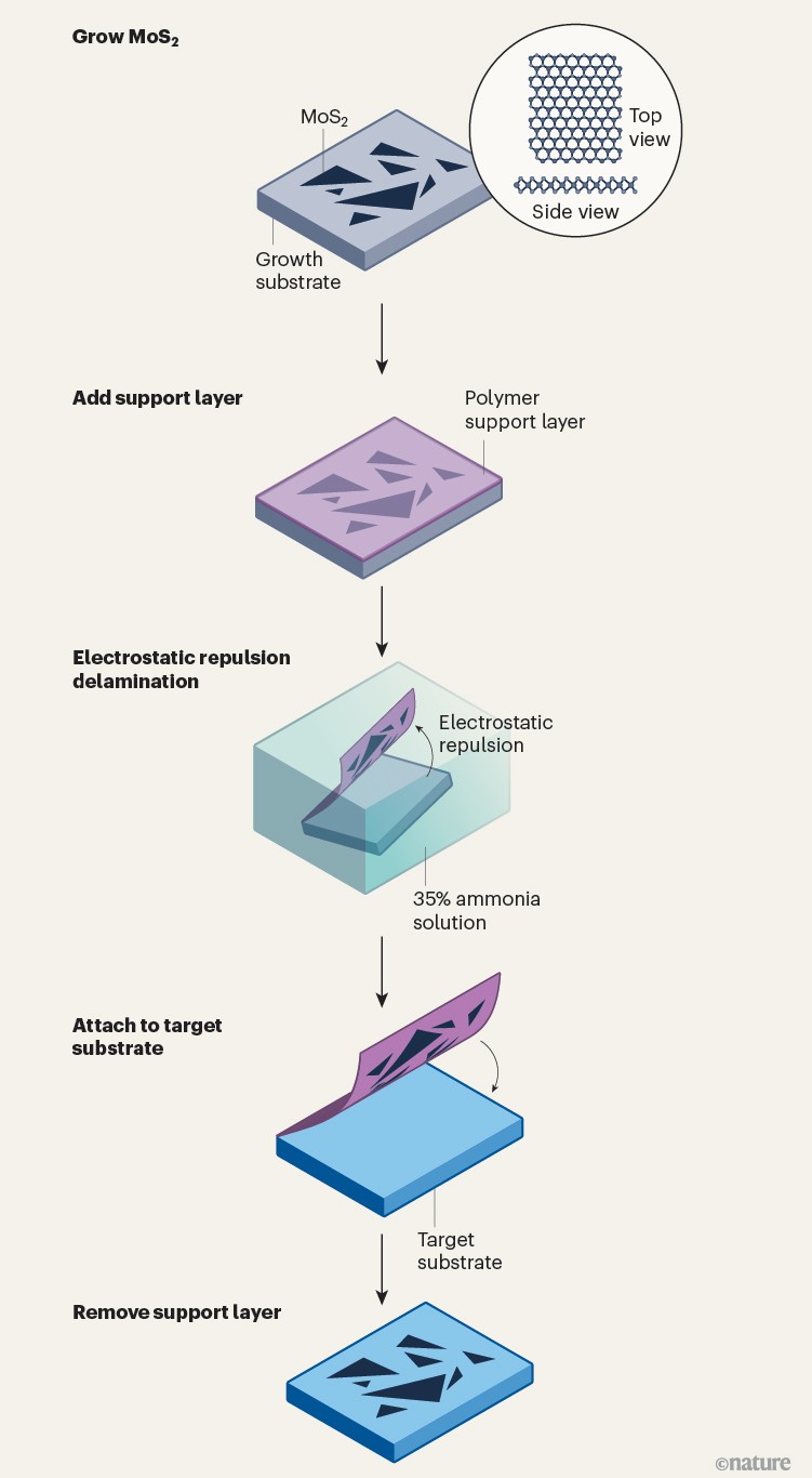 Electrostatic-based transfer keeps 2D materials ultra-clean