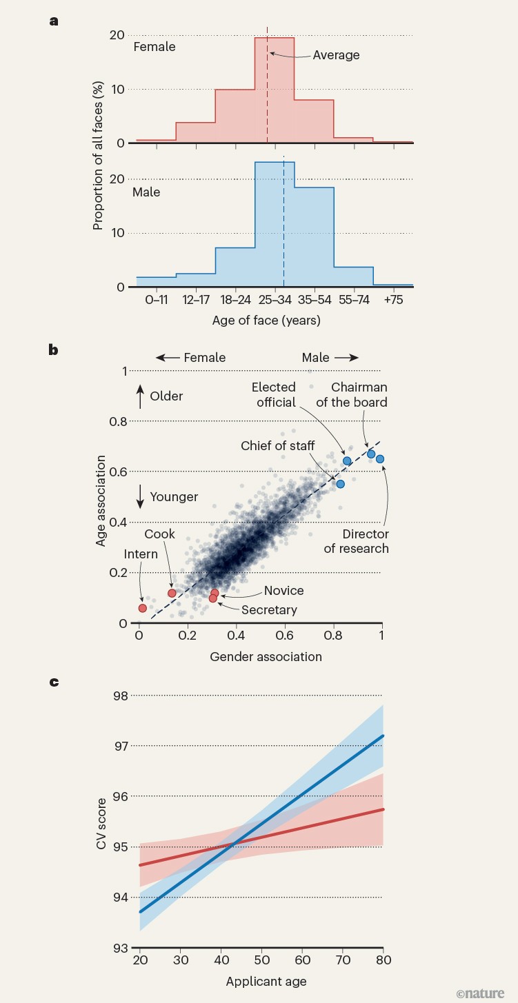 Distorted representations of age and gender are reflected in AI models