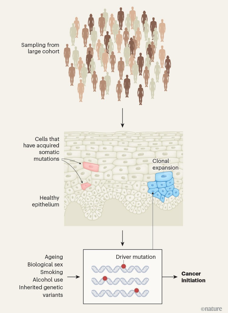 Ultra-sensitive DNA sequencing maps mutations that precede cancer