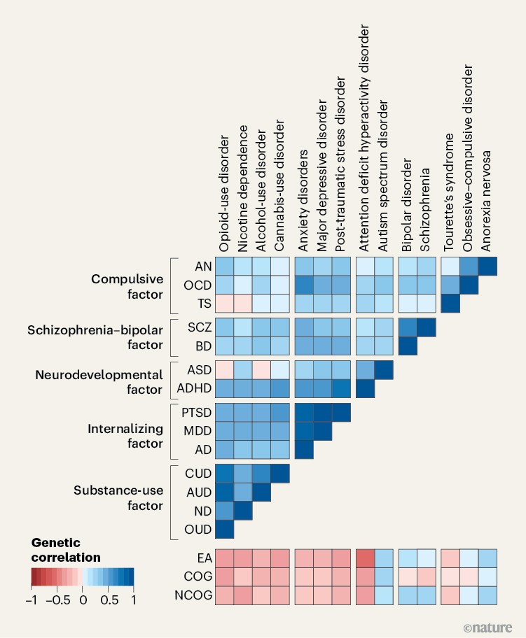 Shared genetic risk in psychiatric disorders