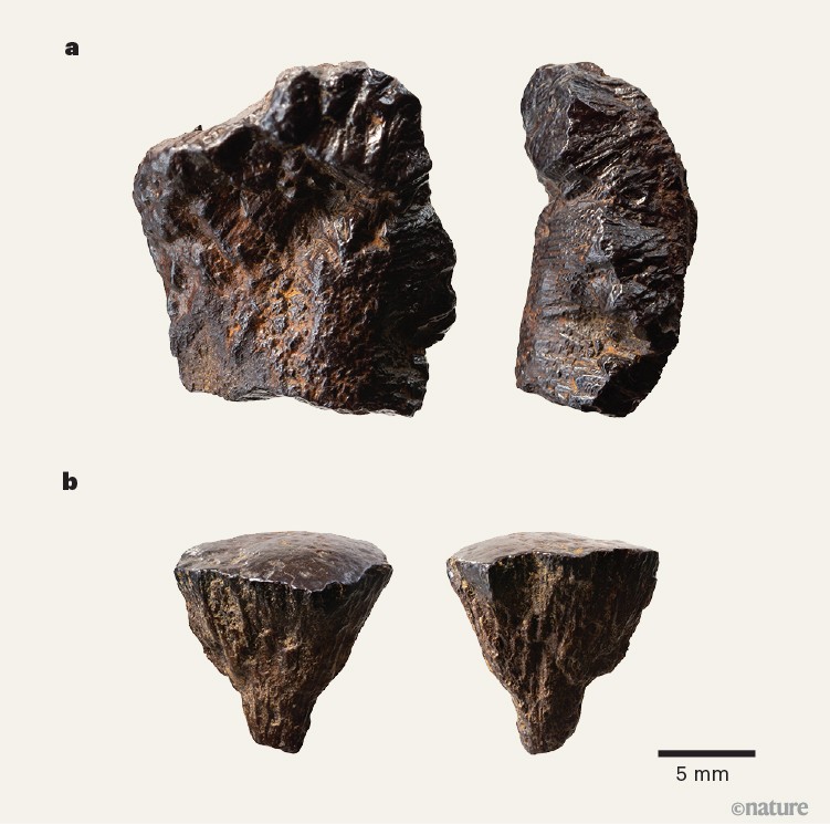 Oldest known evidence of the controlled ignition of fire