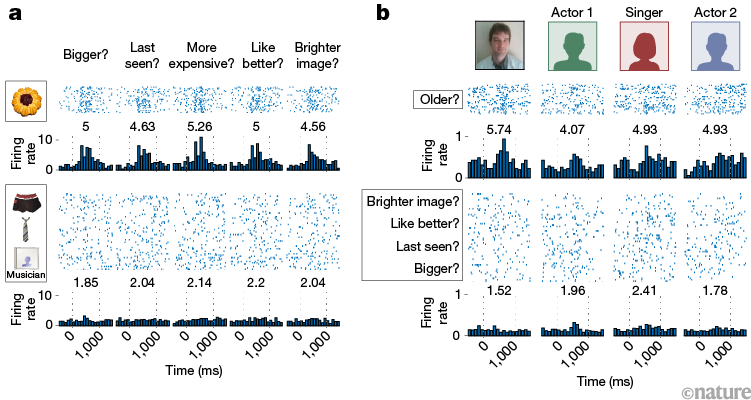 Memories of items and their contexts are encoded by separate groups of ...