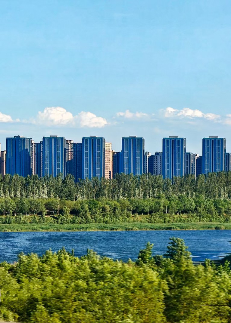 How ‘forest bathing’ keeps lungs healthy