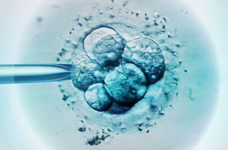 Questionable role of new techniques in IVF embryo culture
