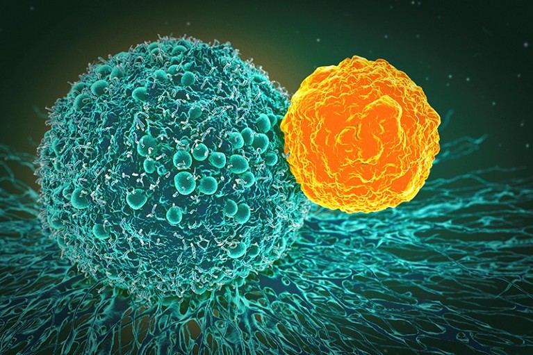 MEGA CRISPR rejuvenates exhausted CAR T cells