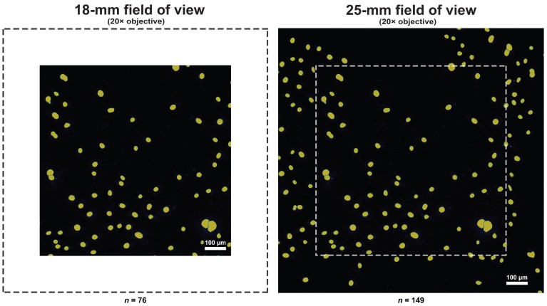 Application Note: Increasing data collection and fidelity by maximizing ...
