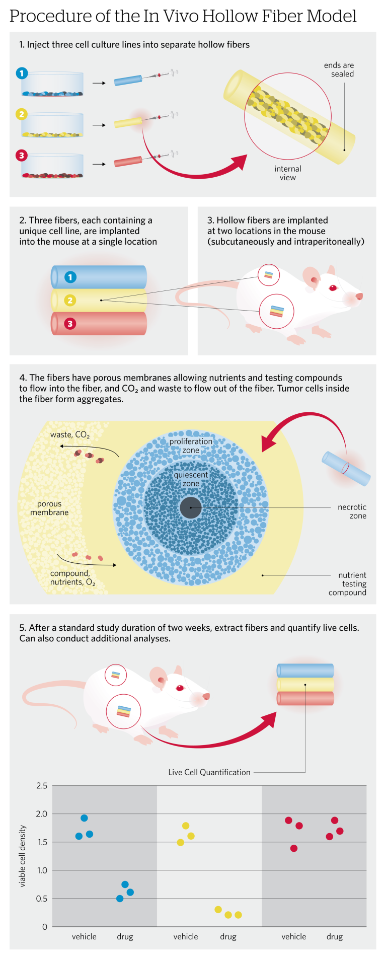 Drug discovery efficiency gains with new in vivo screening assay