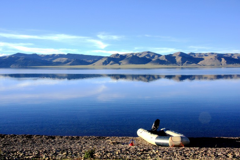 Capturing the wonders of science