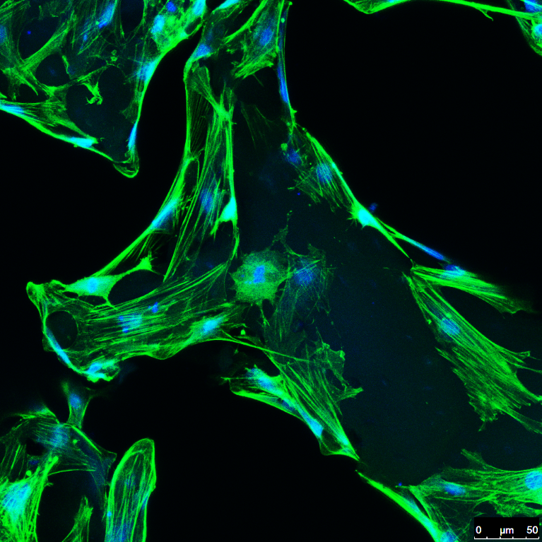 Capturing the wonders of science