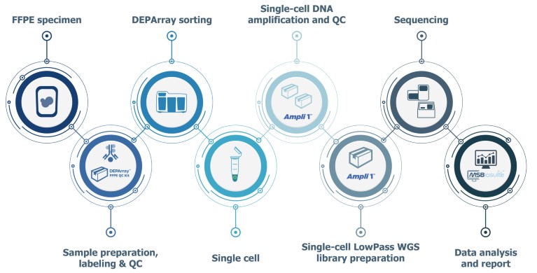 Application Note: Resolving tumor heterogeneity in FFPE samples