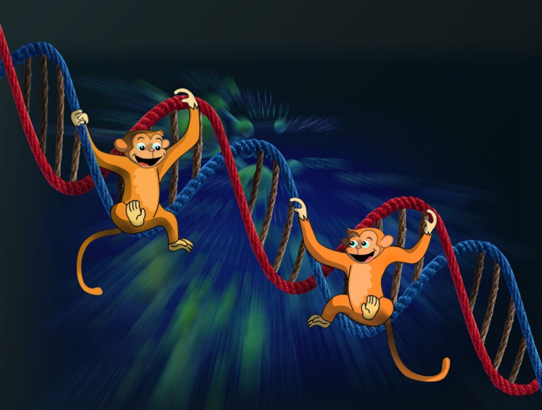 The effect of working in concert