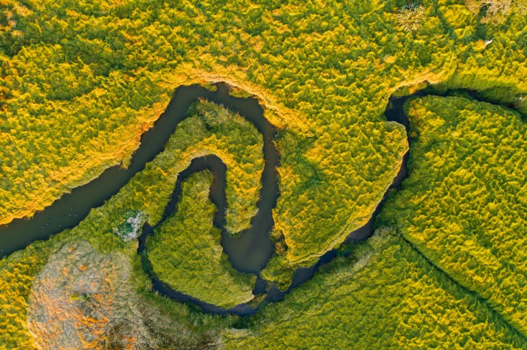 Addressing grand challenges with science