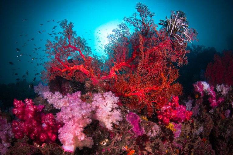 Transforming research into sustainable solutions