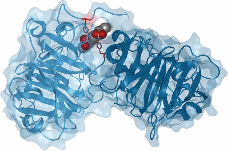 A red blood cell disease meets a company with a plasma protein heritage