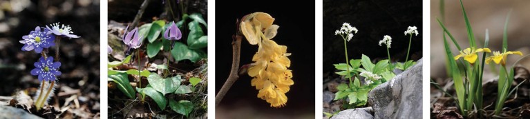 South Korea banks on biological resource clusters