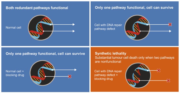 How GSK is using synthetic lethality to develop cancer therapies