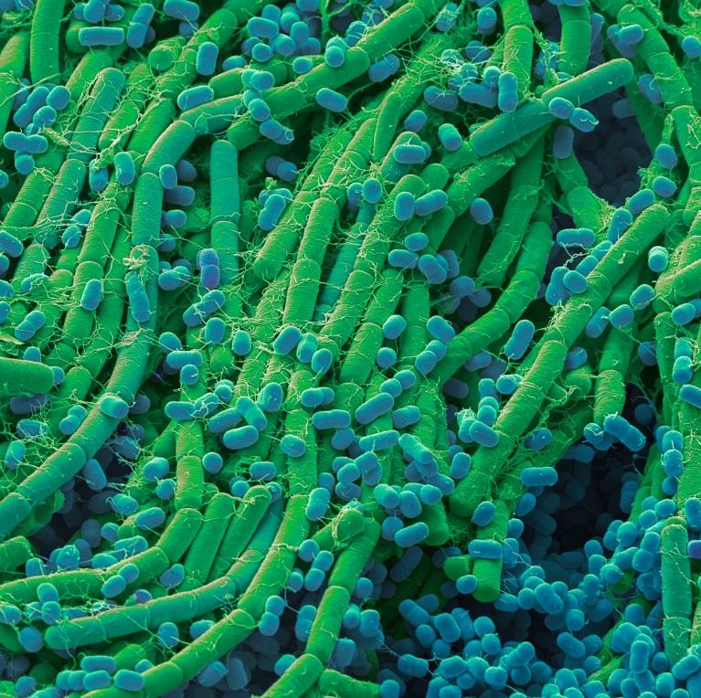 Riding the biological resource boom