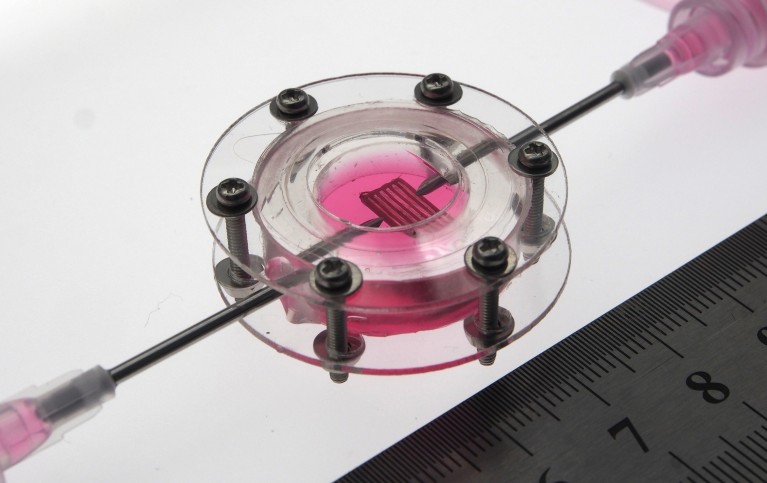 From spaceflight to surgery: The biomedical engineering boom