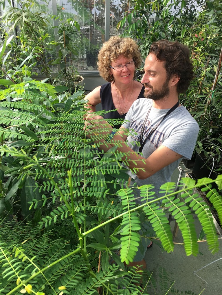 The biologists mapping out climate-resilient trees for our cities