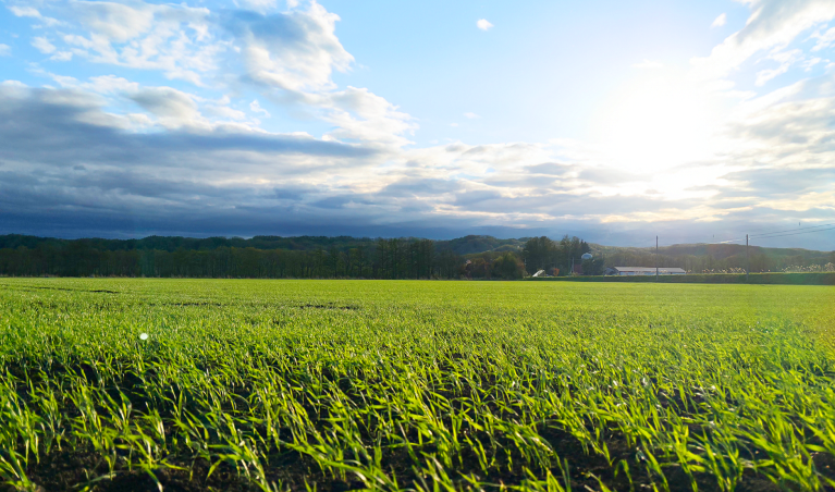 Harnessing biostimulants to boost crop resilience