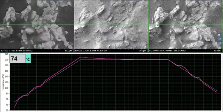 The battery revolution depends on microscopic insights