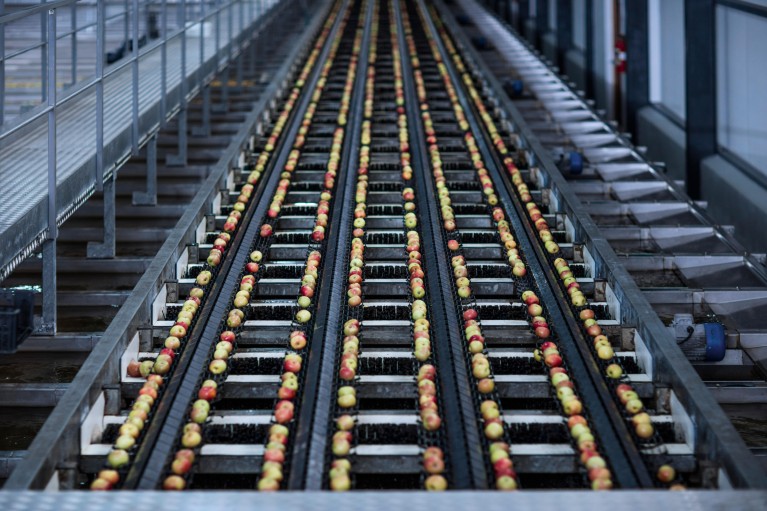 Fruit production that benefits the Earth and human health