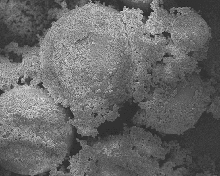 Biofilm battles: storming and repurposing the bacterial fortress