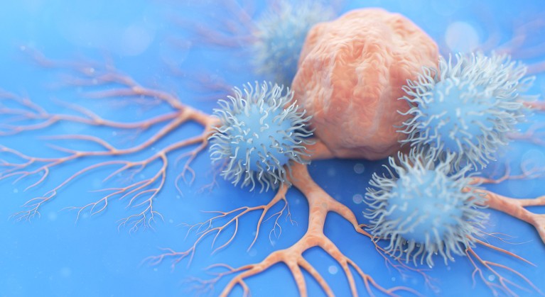 Seeking a lasting immune attack to thwart cancer