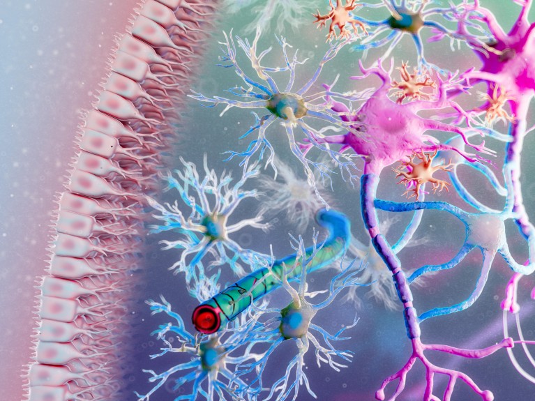 Brain insights benefit from strong connections between lab and clinic