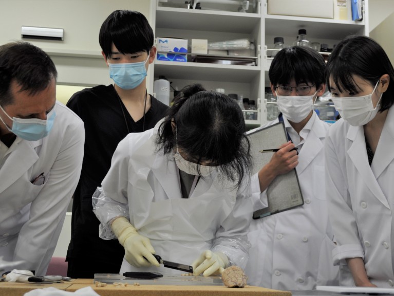 The surprising biobank discovery in Japan that led to a unique brain atlas