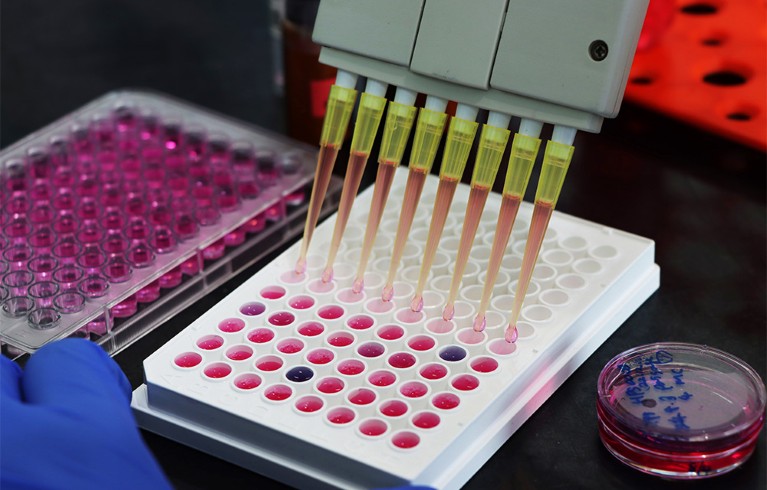 Testing toxicity using stem cells and AI