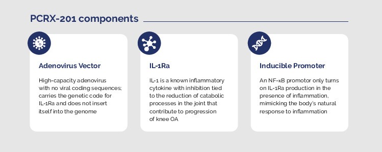 Pacira BioSciences: Pioneers in the commitment to nonopioid pain management