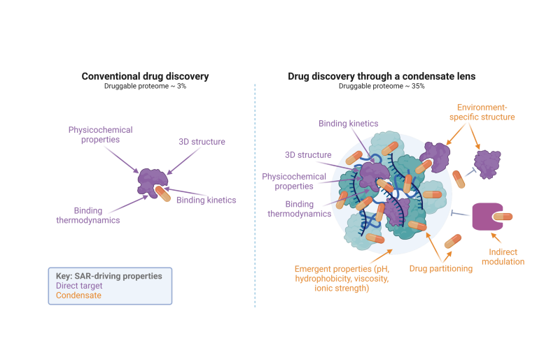Dewpoint Therapeutics’ vision for biomolecular condensates to ...