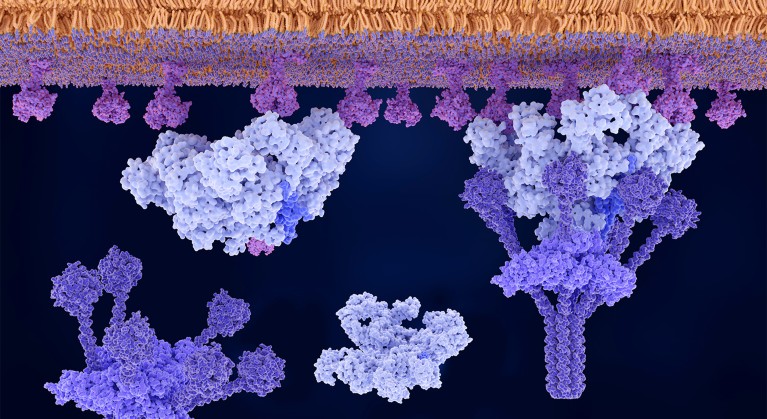 Next-generation immunoassays for diagnosis