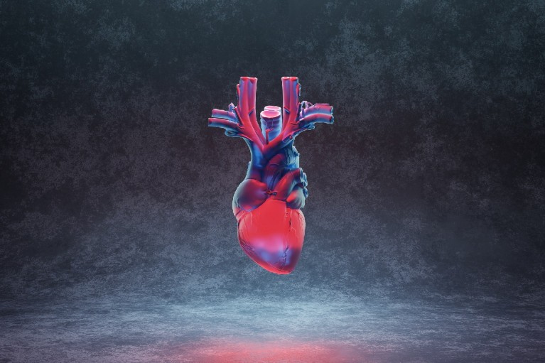 Advancing medicine for healing hearts