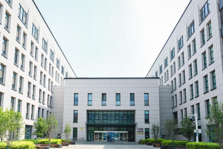 Bridging disciplines to unravel the mysteries of the brain