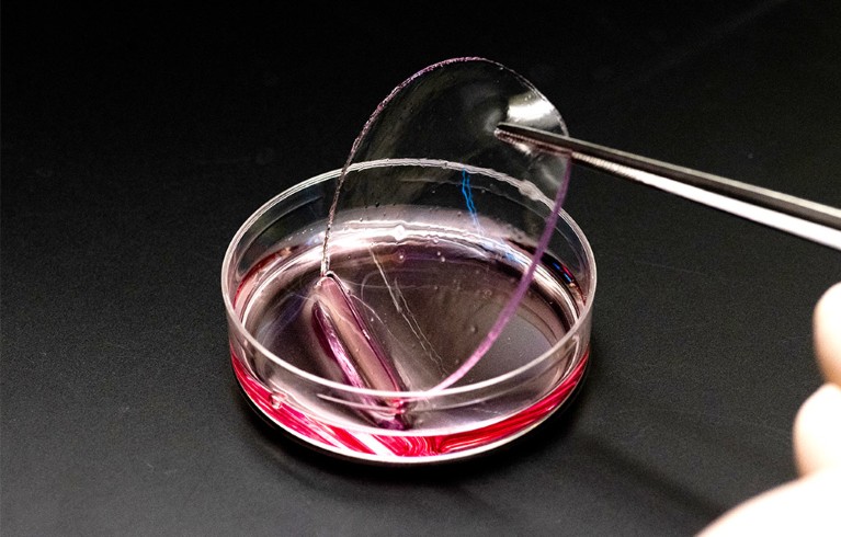 Hydrogel-based materials: a new weapon against cancer?