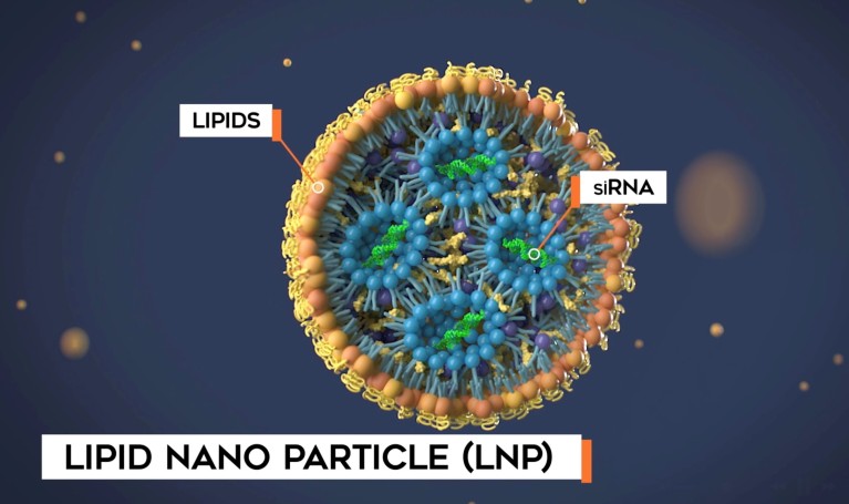 AI reveals novel blood vessel targets for cancer and diabetes immunotherapy